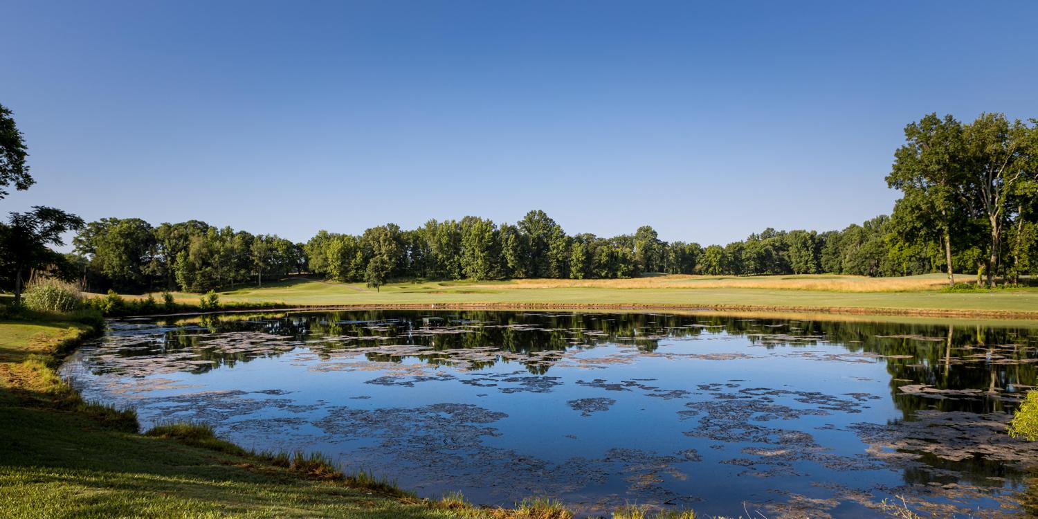 Bear Trace Tims Ford By Brian Weis